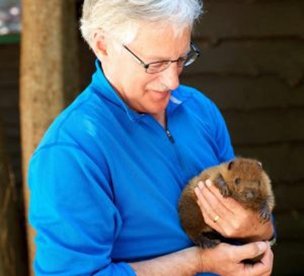 Home - Adirondack Wild